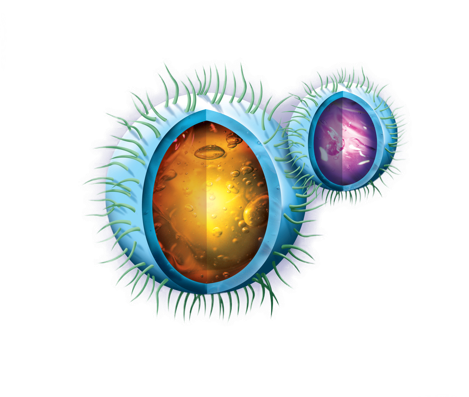 Ensystex Feature ATTRATHOR at AEPMA Conference - A Revolutionary Micro ...