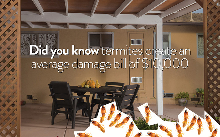 AEPMA Member: Termitrust Pest Control - Brisbane & Victoria